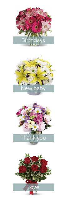 Florists In Norwich Ct 🏵️ Mar 2026