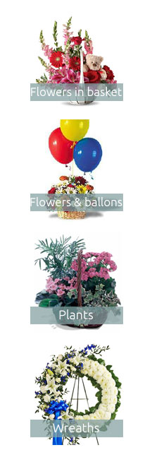 Florists In Norwich Ct 🏵️ Mar 2026