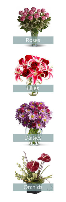 Florists In Norwich Ct 🏵️ Mar 2026